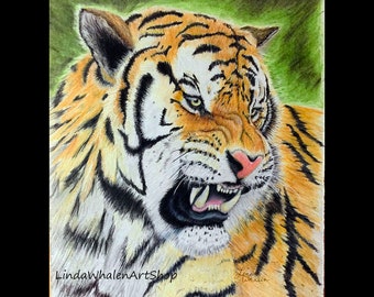 Colored Pencil Tiger - Etsy
