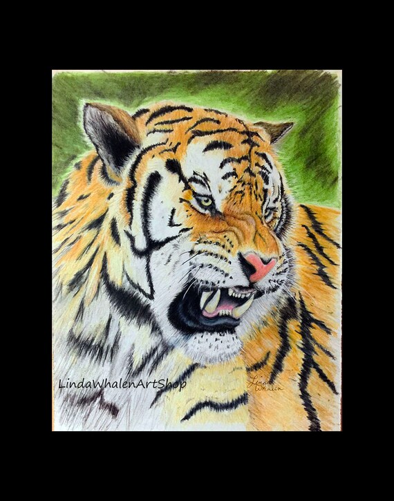 Tiger Colored Pencil Artwork Print 8x10 Printed | Etsy
