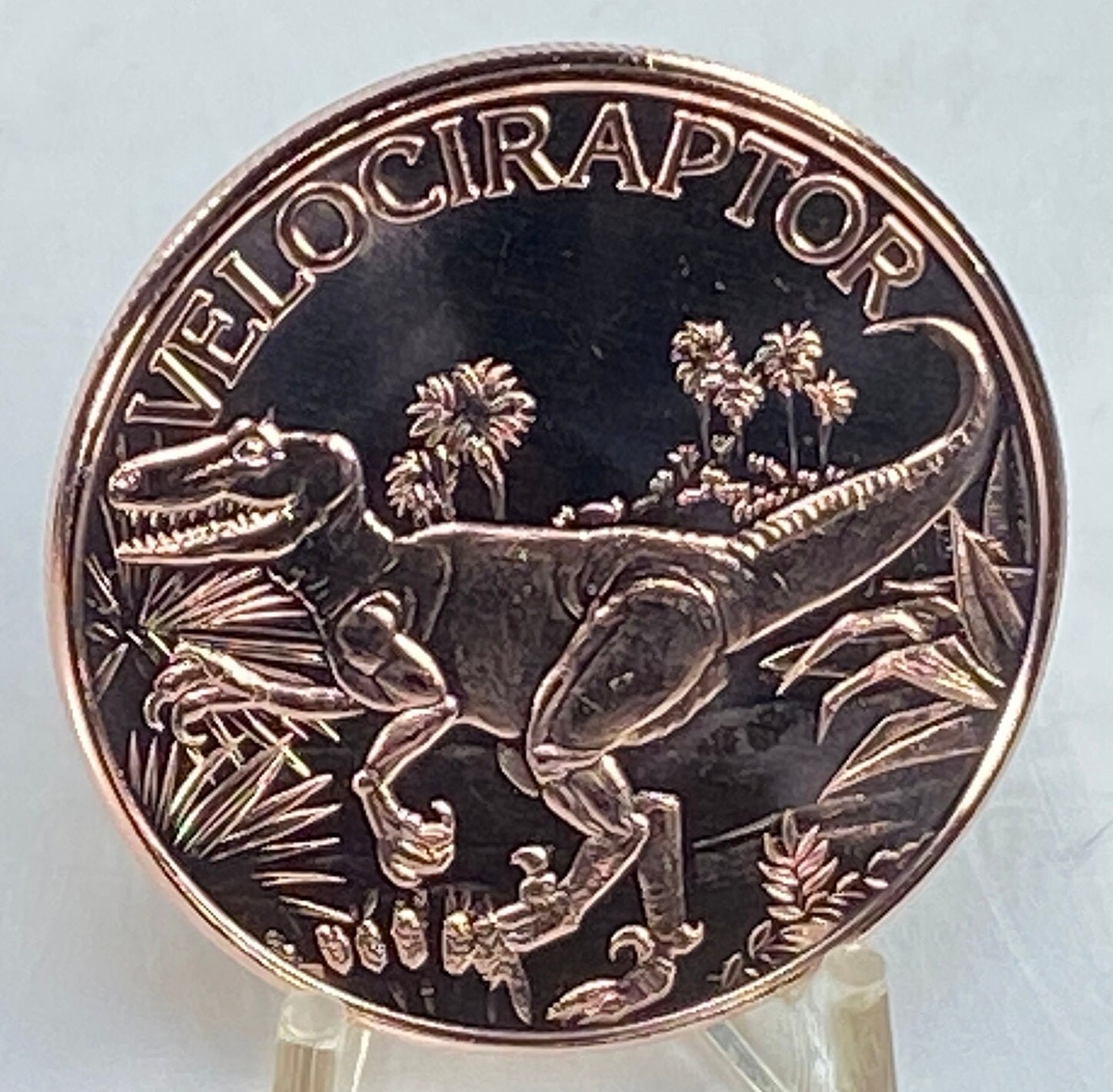 Dinosaur Collectible Coins Eight Fine .999 Bullion Rounds - Etsy