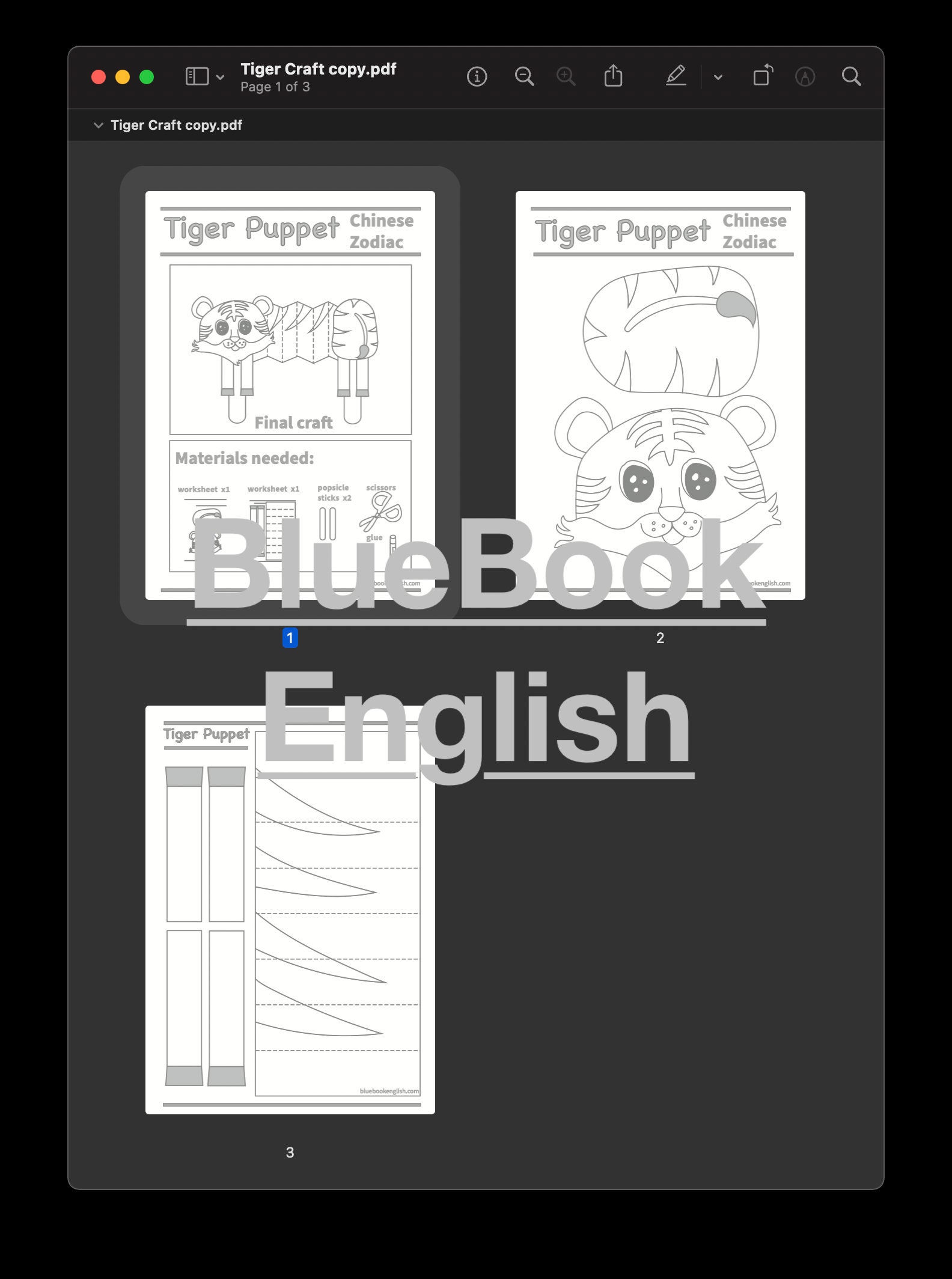 Tiger Puppet Craft Activity Chinese New Year CNY Coloring Printable PDF ...