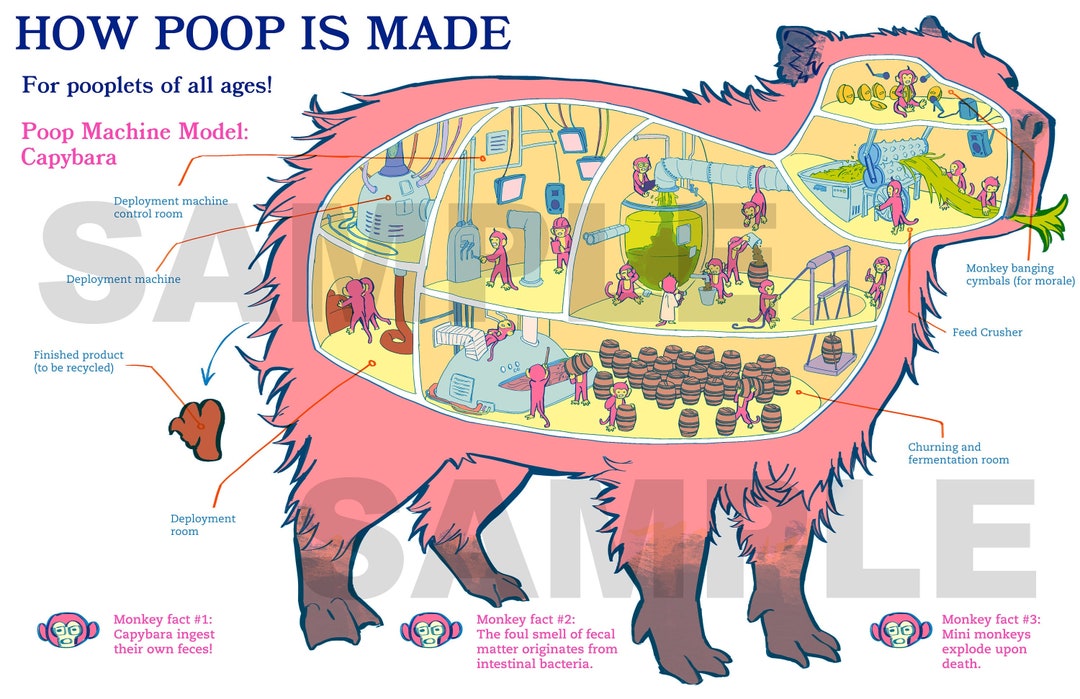 How Poop is Made: Capybara Print - Etsy