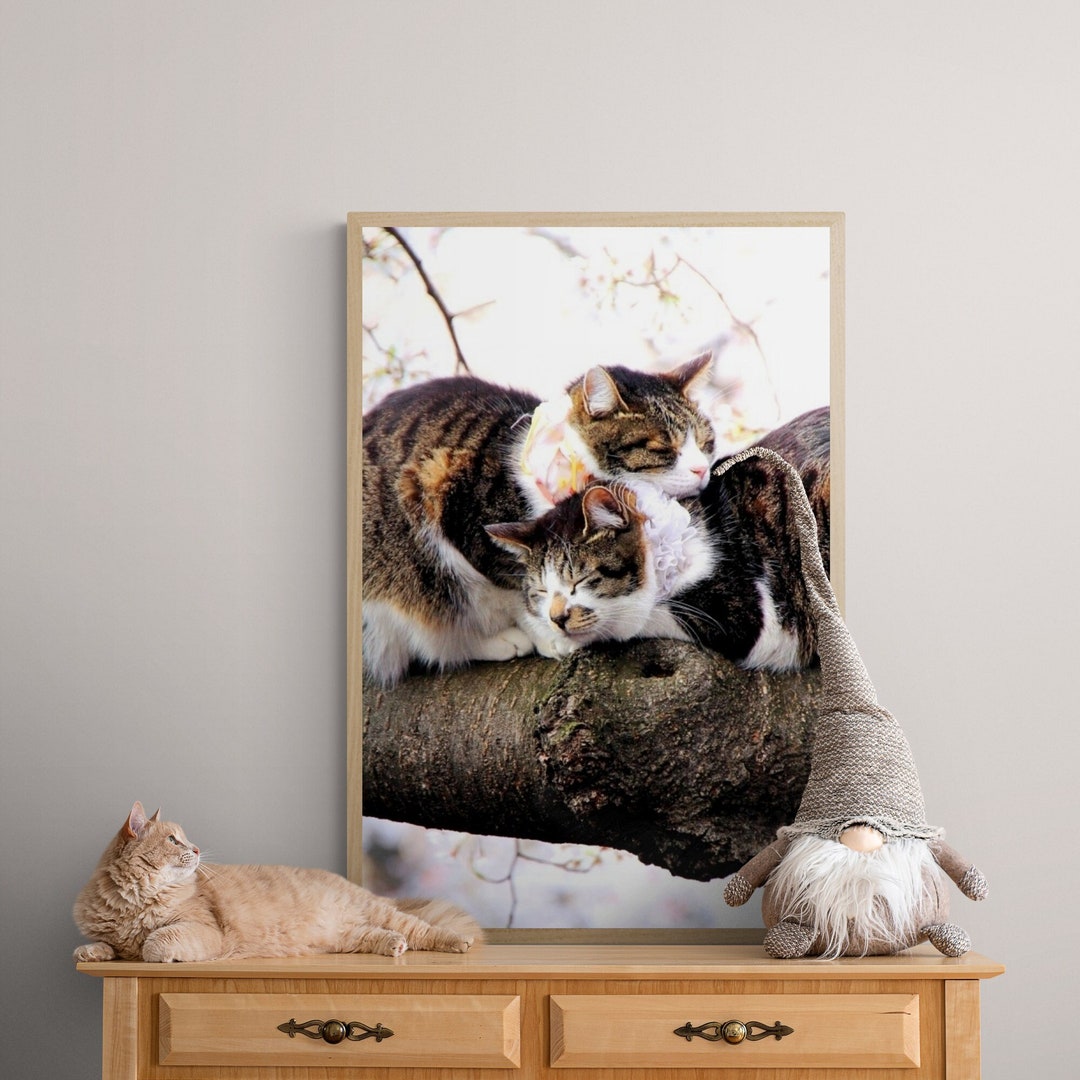 Cute Sleeping Cat Wall Art Print for Kids Room Bed Nursery, Earth Tone ...