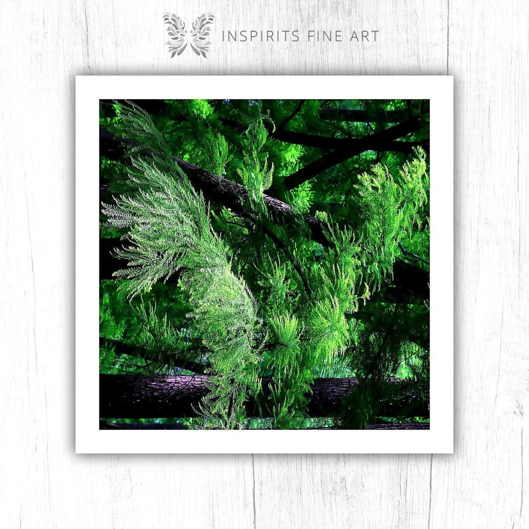 Dark Green Forest Wall Art Print 12x12, Witchy Goth Forestcore Art ...