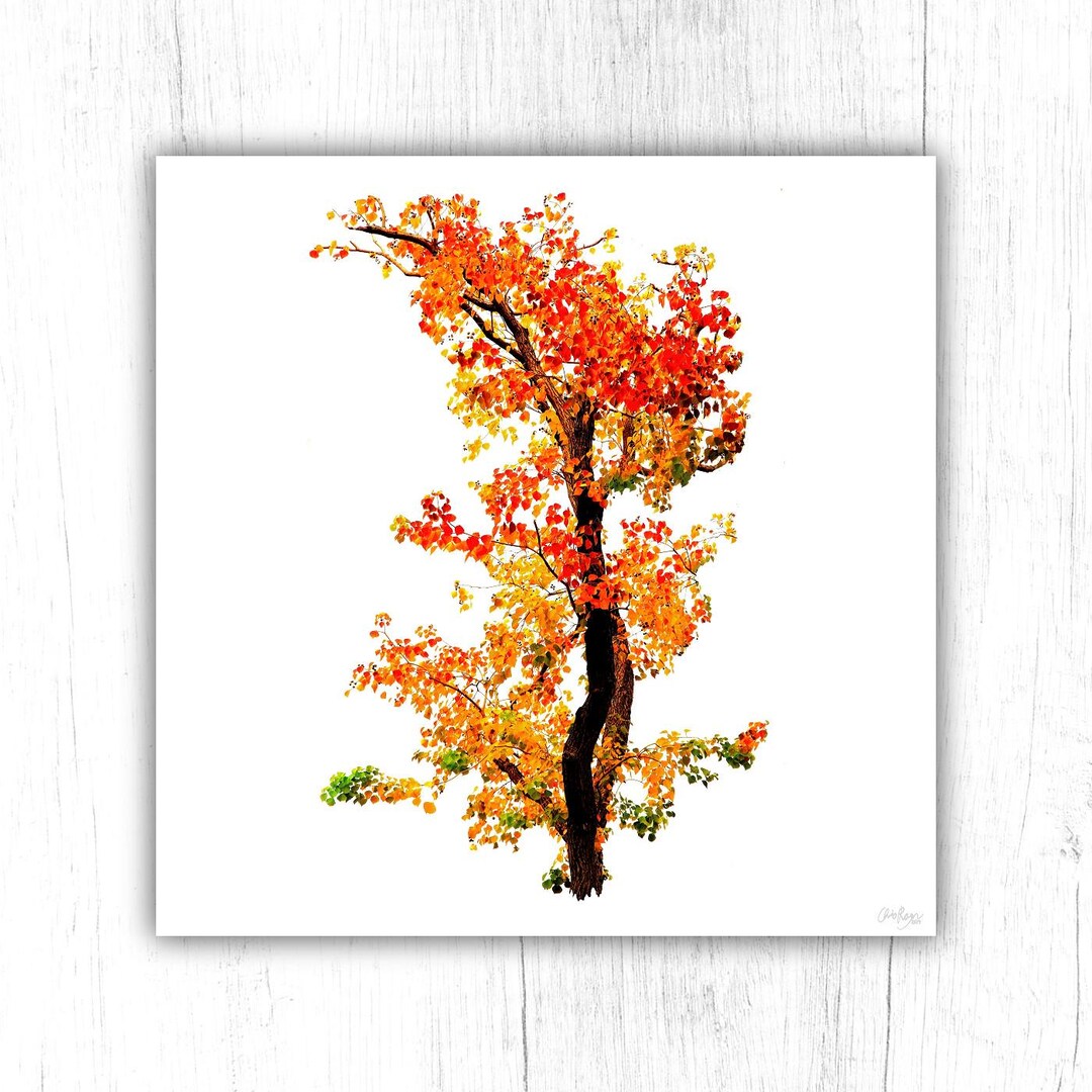 Fall Tree Wall Art Print for Rustic Country & Farm House, Fall Poster ...
