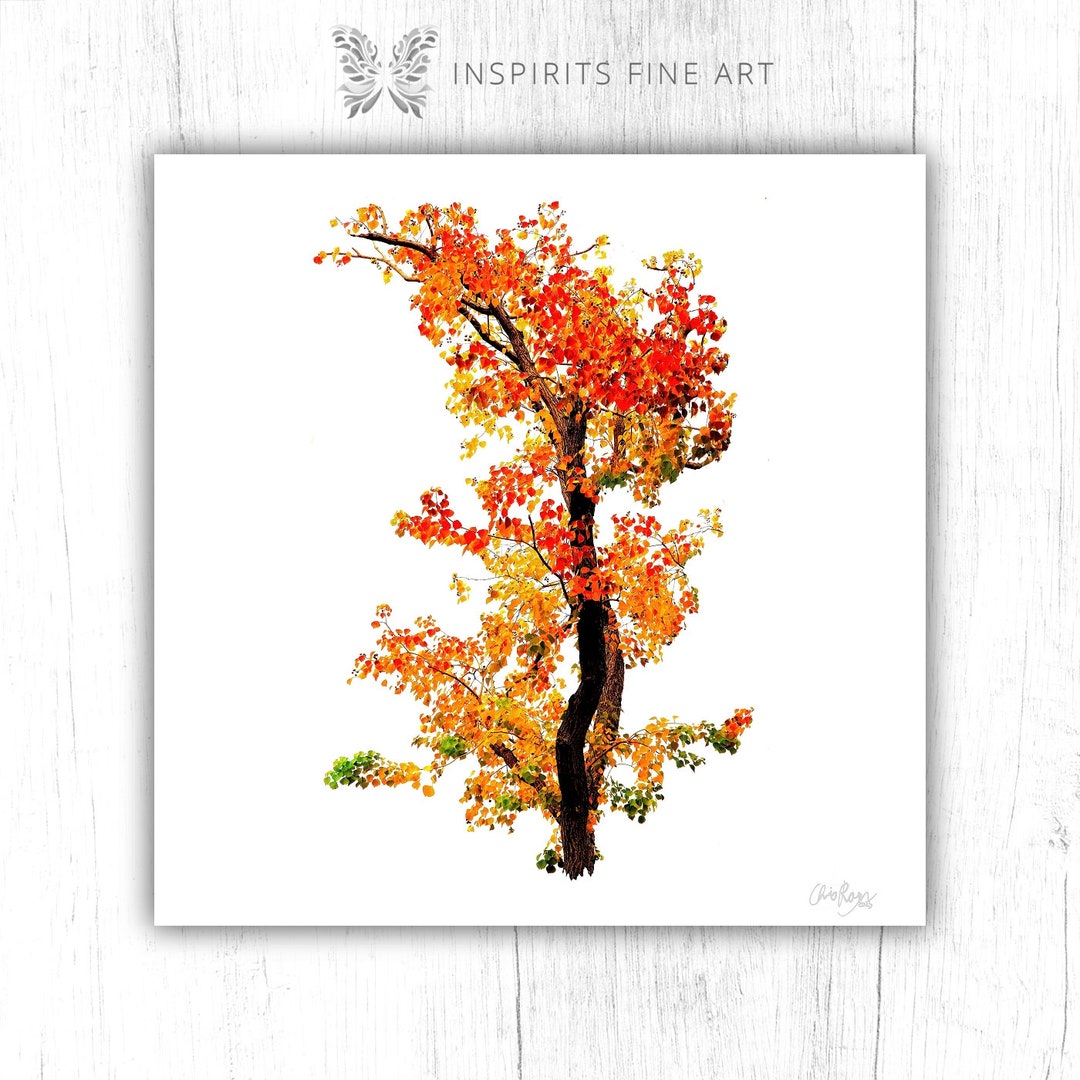 Fall Colors Tree Wall Art Print for Rustic Country & Farm House, Autumn ...