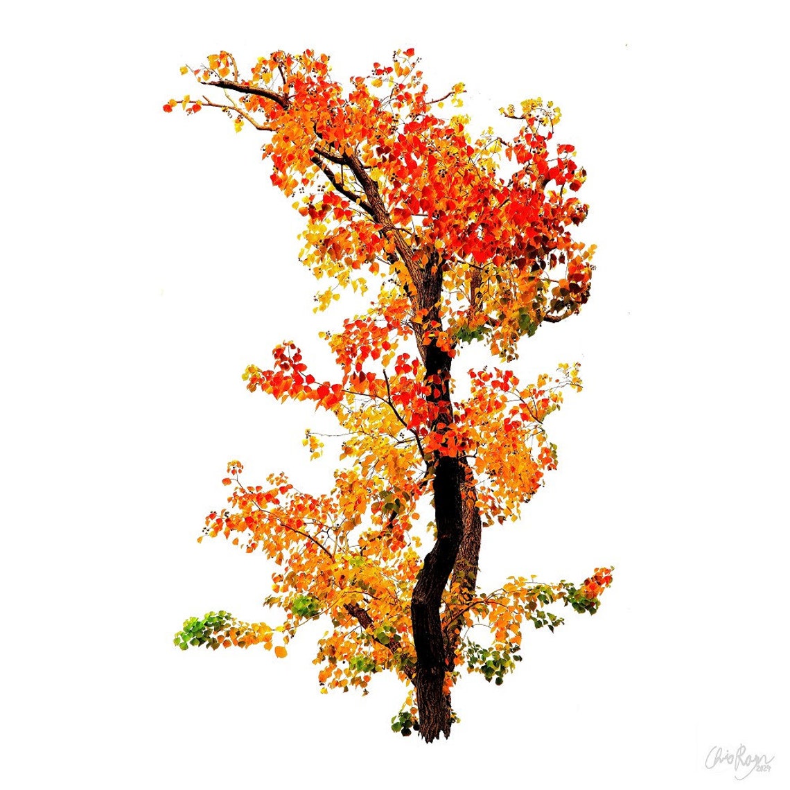 Fall Tree Wall Art Print for Rustic Country & Farm House, Autumnal Tree ...