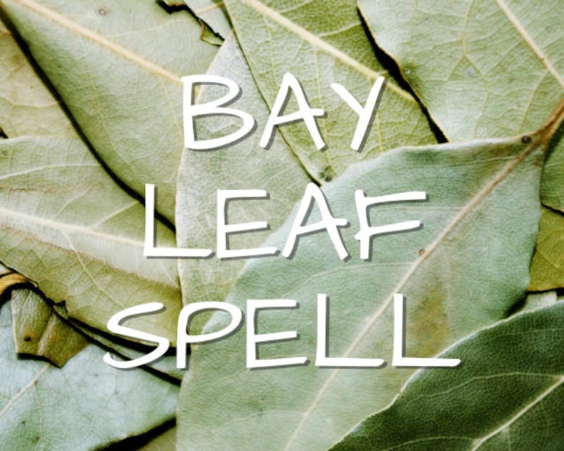 Bay Leaf Burn Spell Manifestation Wish Bay Leaves Burning Custom Wish Spells Make a Wish Ritual ...