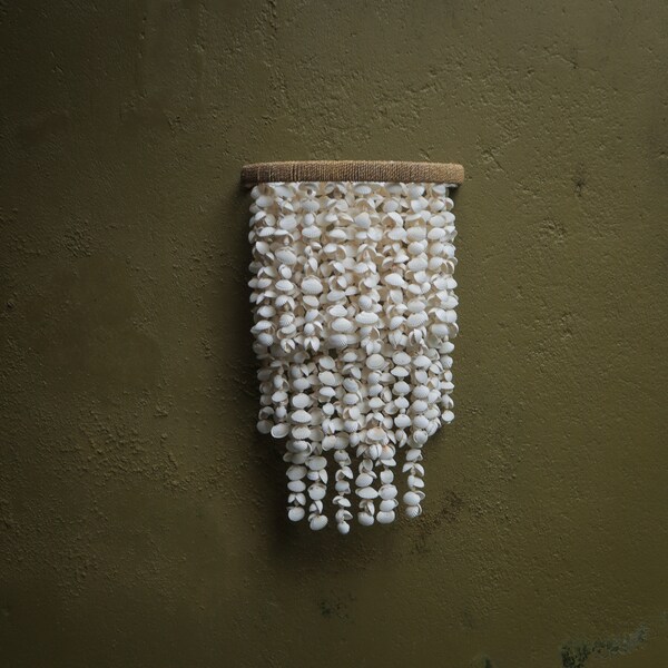 Shell Sconce - Etsy