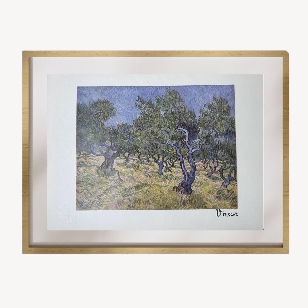 Vincent Van Gogh Olive Orchard Vintage Limited Edition Art Print ...