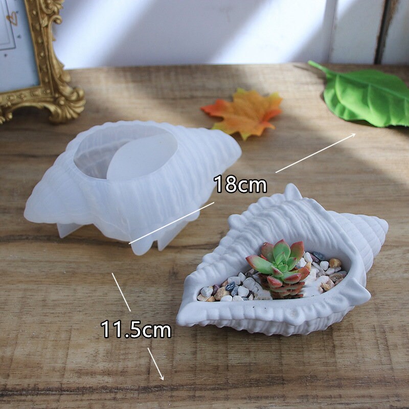 Conch Shell Planter - Etsy