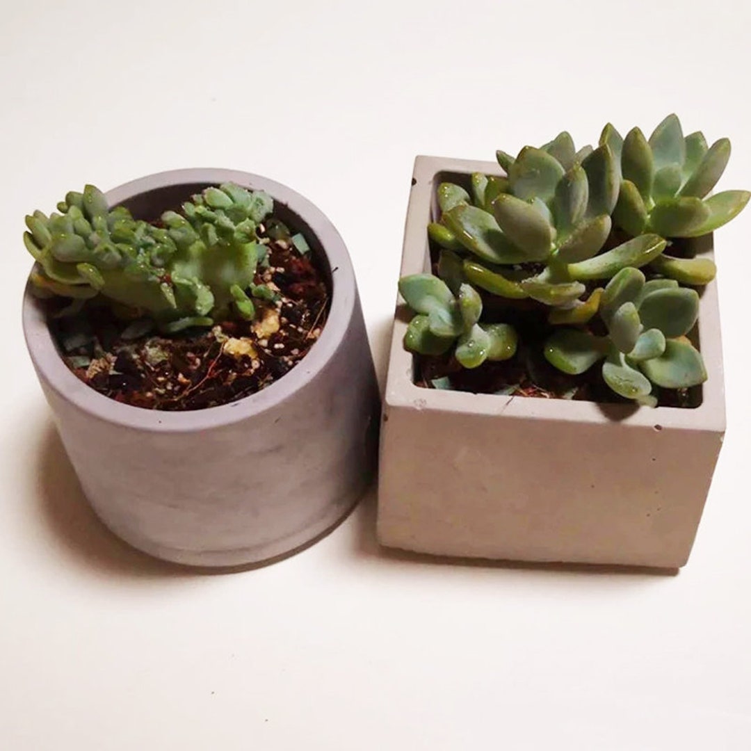 ROUND Flower Pot Silicone Mold Suare Planter Candle Holder Simple ...