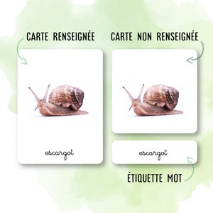 24 Montessori Cards - Spring - French - Classified Images - Watercolor ...