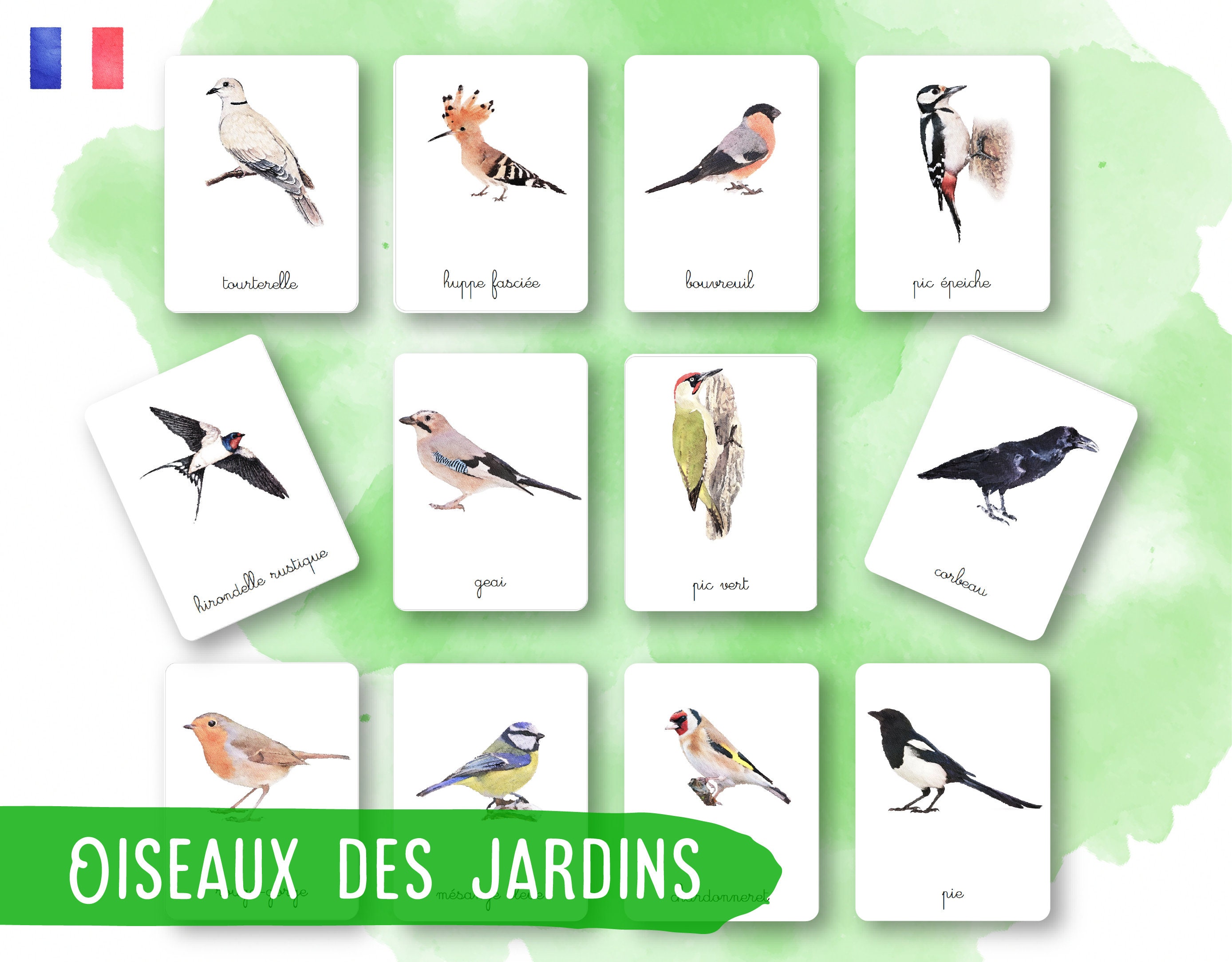 26 Cartes Montessori - Oiseaux des jardins - Français - Images ...