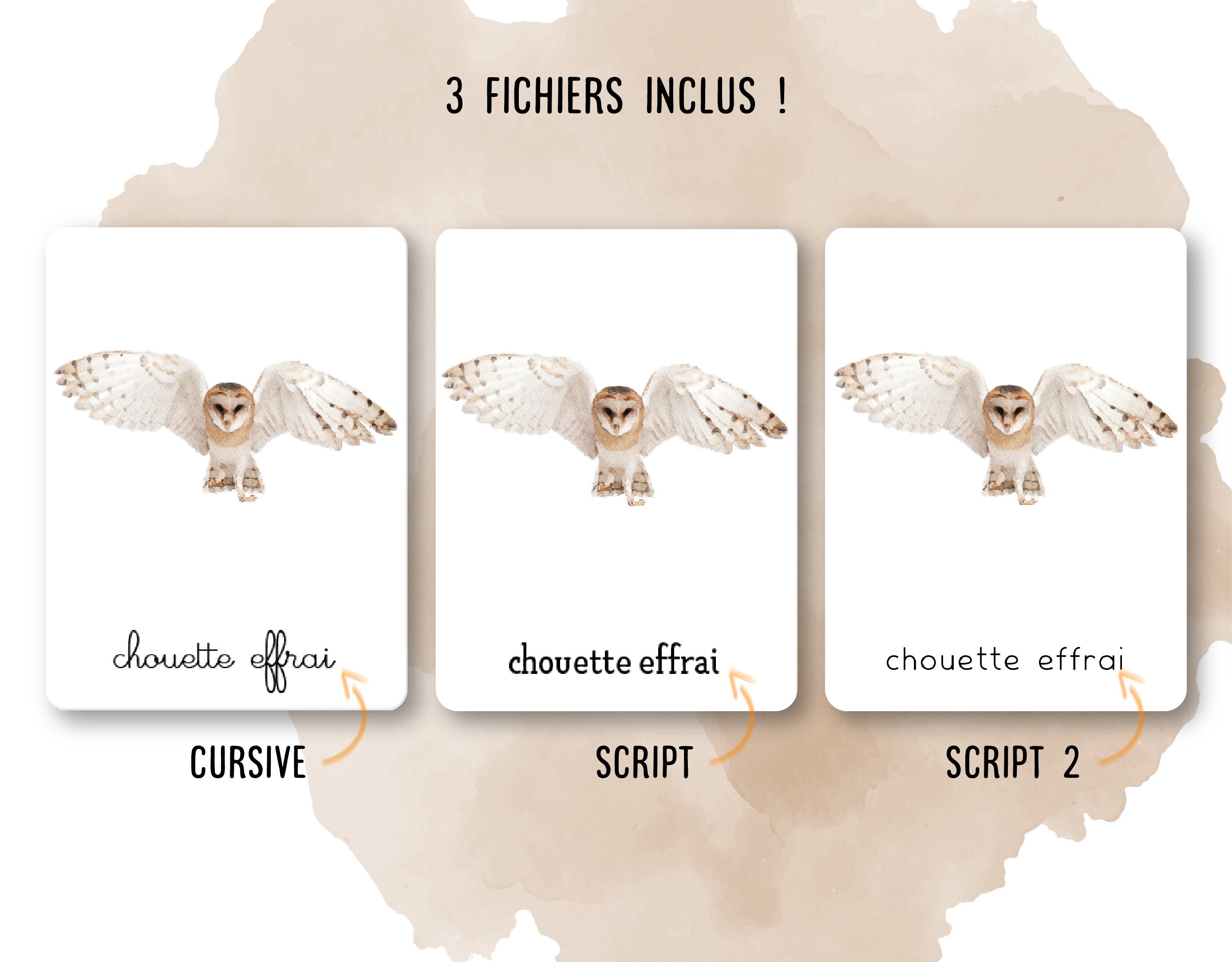 32 Montessori Cards - Forest Animals - French - Classified Images ...