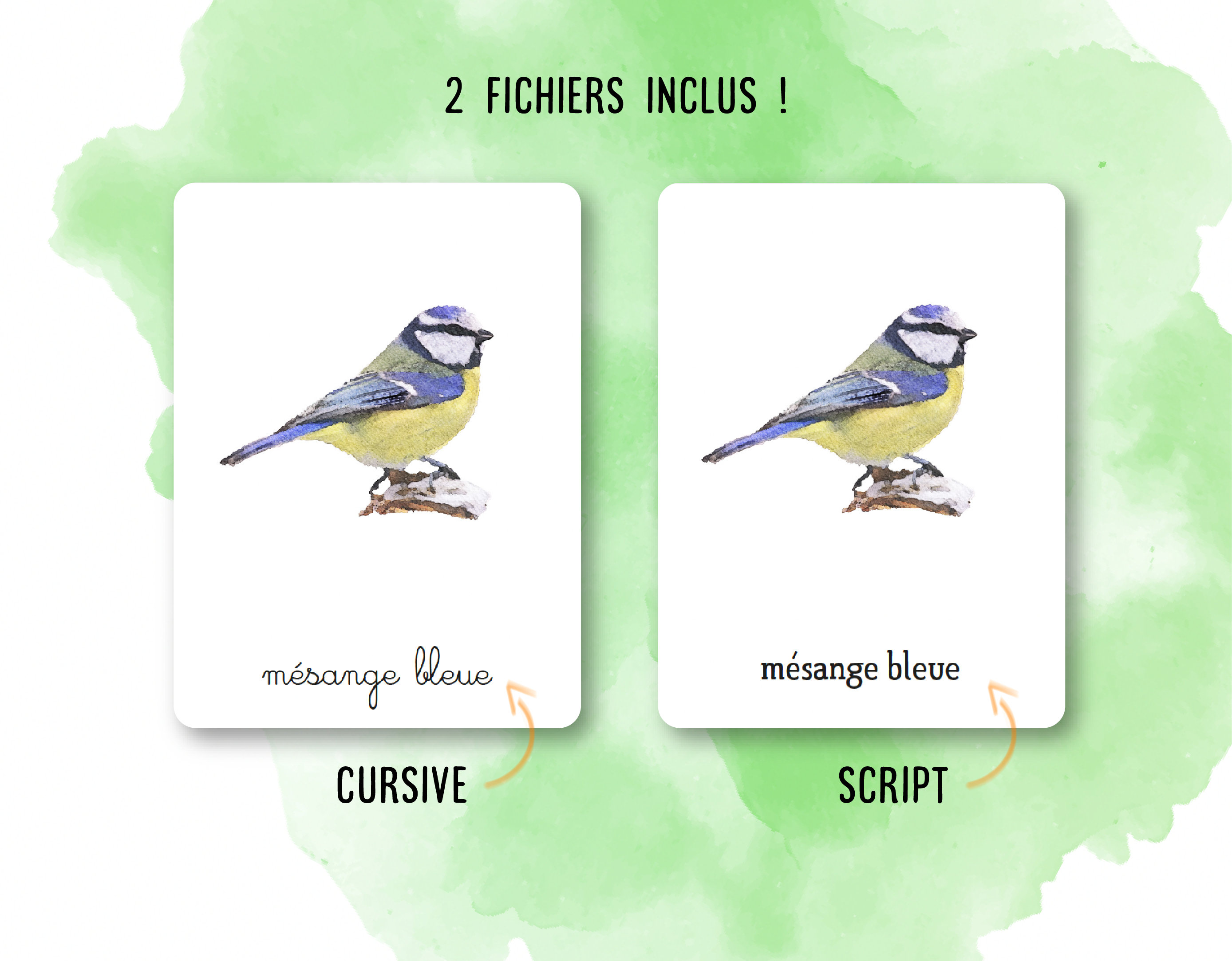 26 Cartes Montessori - Oiseaux des jardins - Français - Images ...