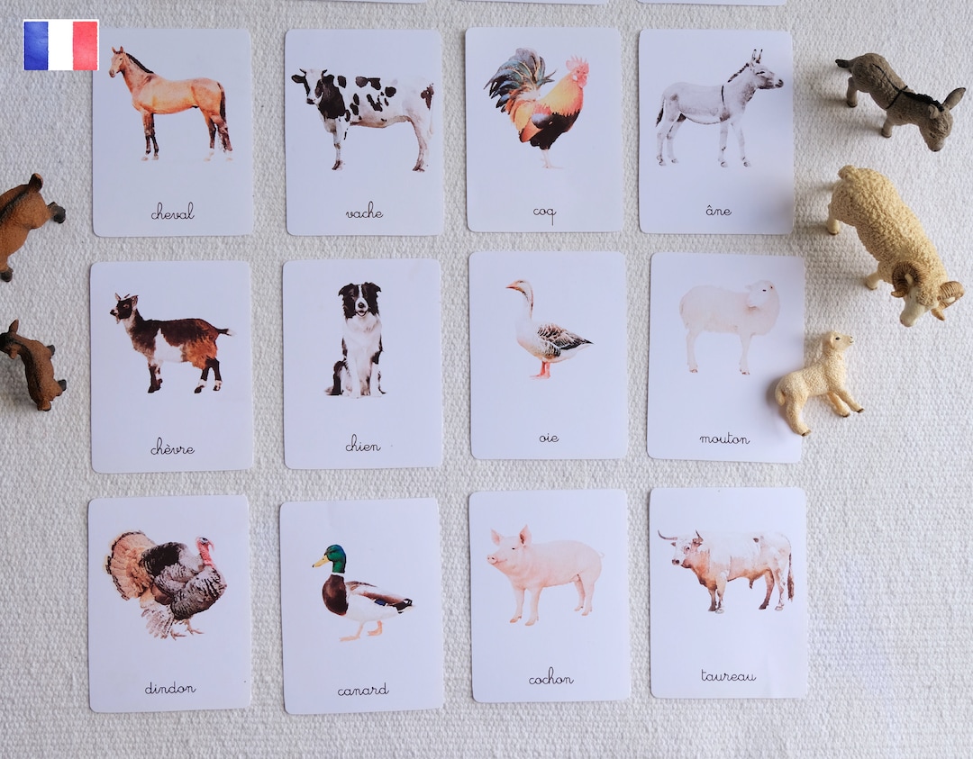 16 Montessori Cards - Farm Animals - French - Classified Images ...