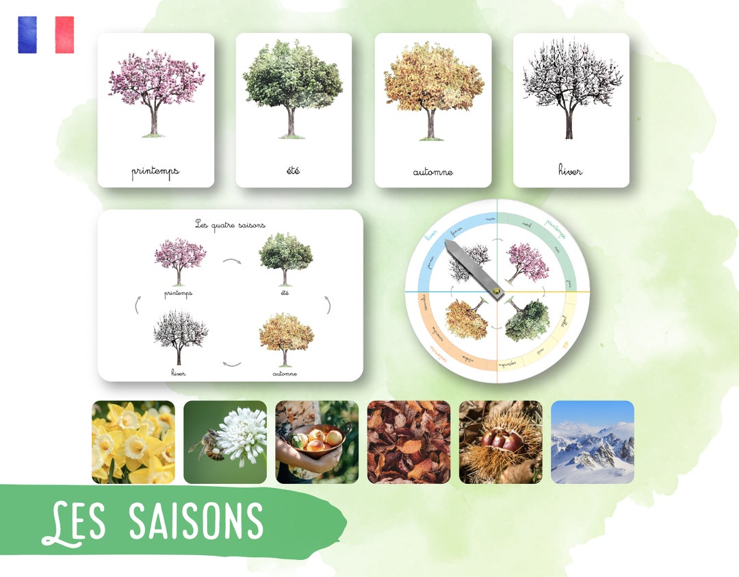 Montessori Activity - Seasons - French - Classified Images - Watercolor ...
