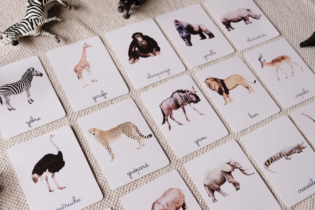 32 Montessori Cards Savannah Animals French Classified Images ...