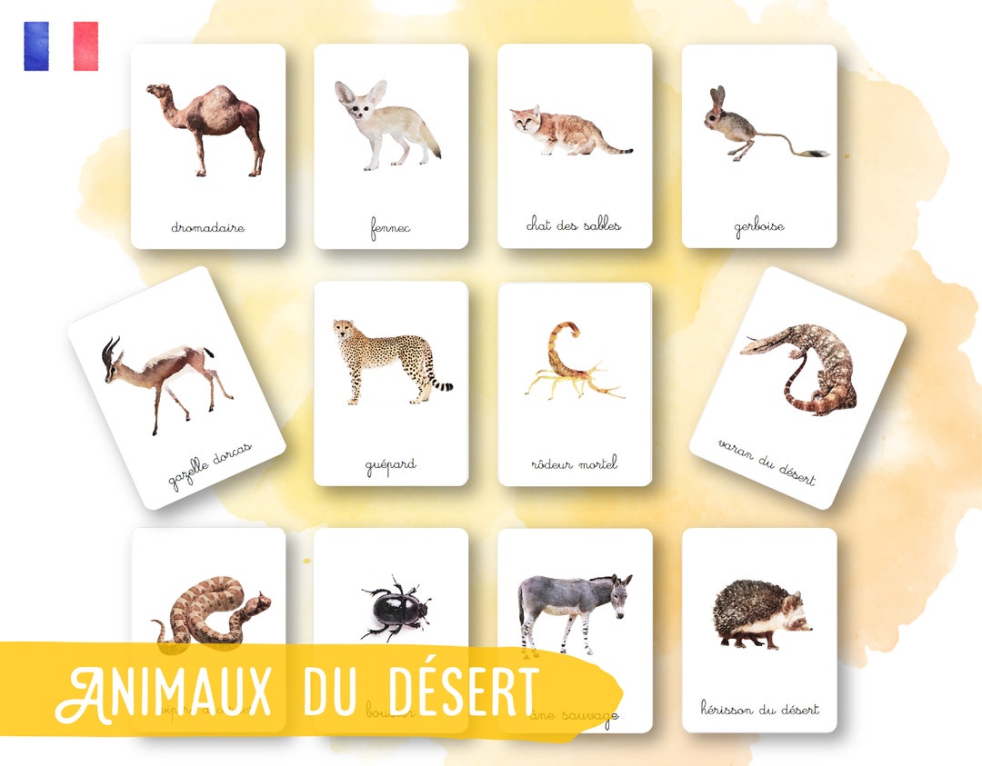 21 Montessori Cards Desert Animals French Classified Images Watercolor ...
