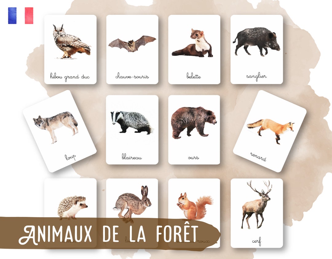 32 Montessori Cards - Forest Animals - French - Classified Images ...