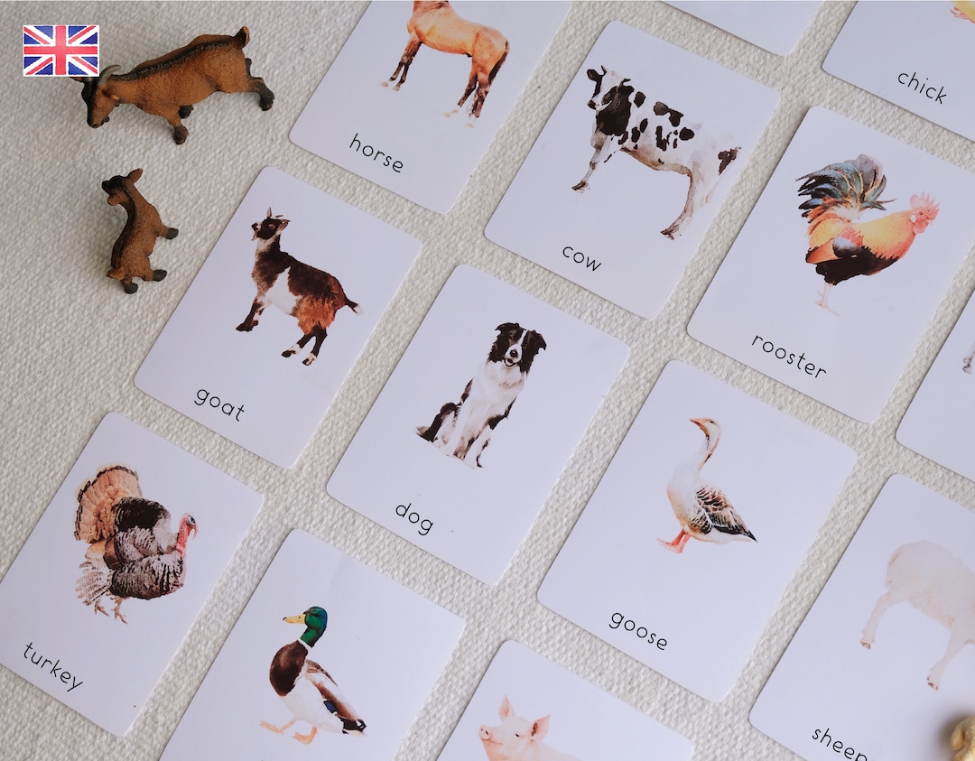 16 Montessori Cards - Farm Animals - English - 3 Part Cards Watercolor ...