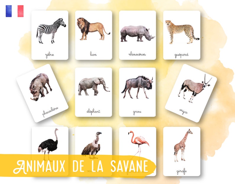 32 Montessori Cards - Savannah Animals - French - Classified Images ...
