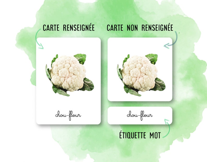 35 Cartes Montessori Les Légumes Français Images - Etsy
