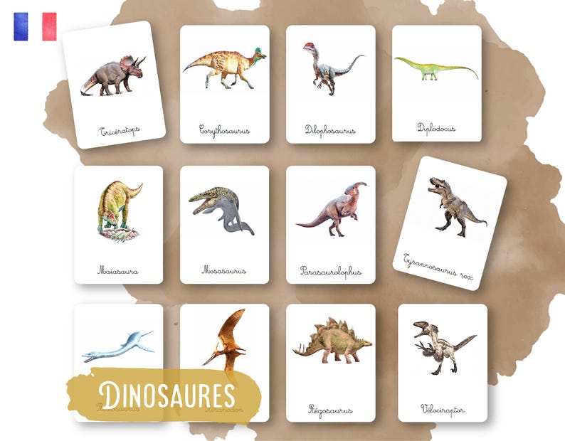 25 Montessori Cards - Dinosaurs - French - Classified Images ...