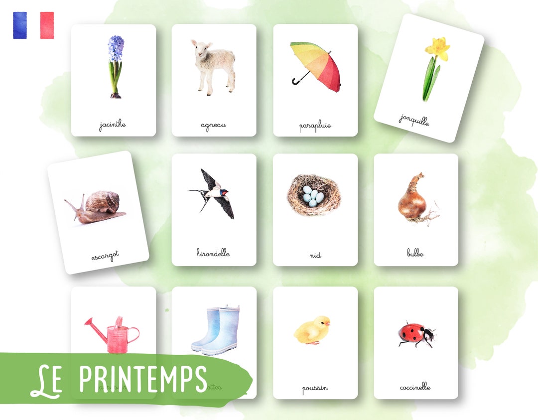 24 Montessori Cards - Spring - French - Classified Images - Watercolor ...
