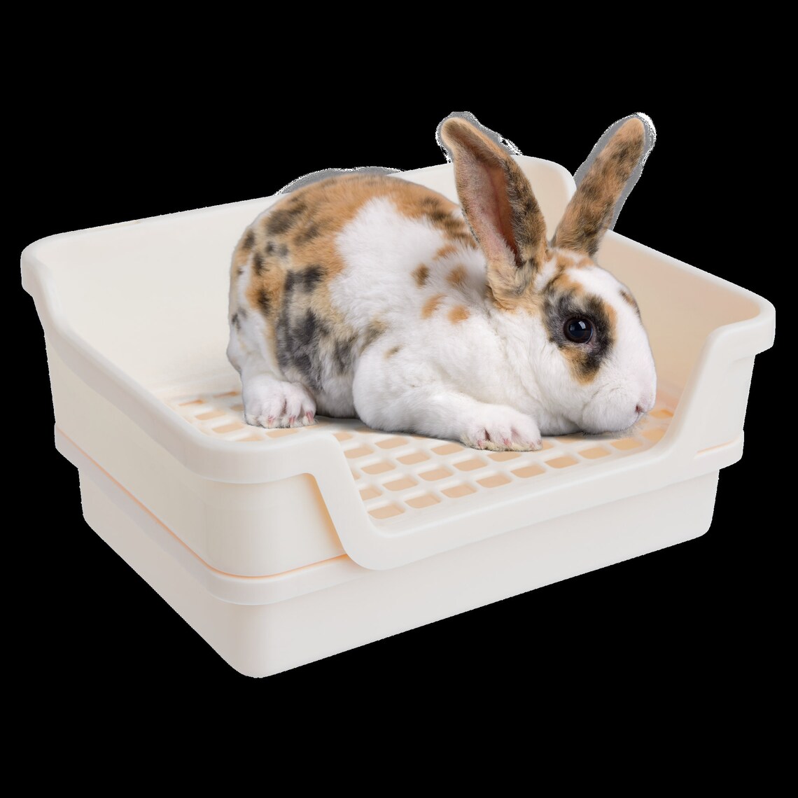 Hoppscotch.bun BUMBOX Large Rabbit Litter Box W/ Plastic Grid - Etsy