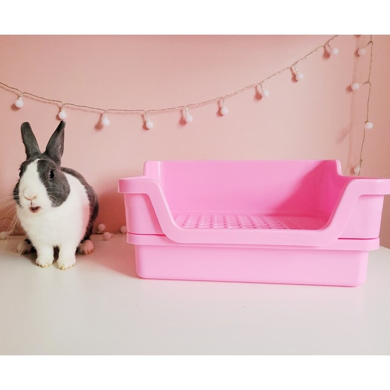 Hoppscotch.bun BUMBOX Large Rabbit Litter Box W/ Plastic Grid - Etsy