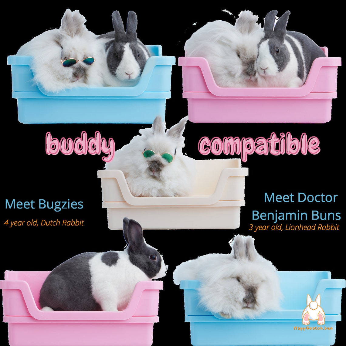 Hoppscotch.bun BUMBOX Large Rabbit Litter Box W/ Plastic Grid - Etsy