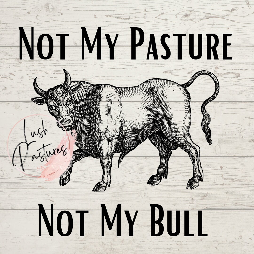 Not My Pasture Not My Bull PNG File ONLY - Etsy