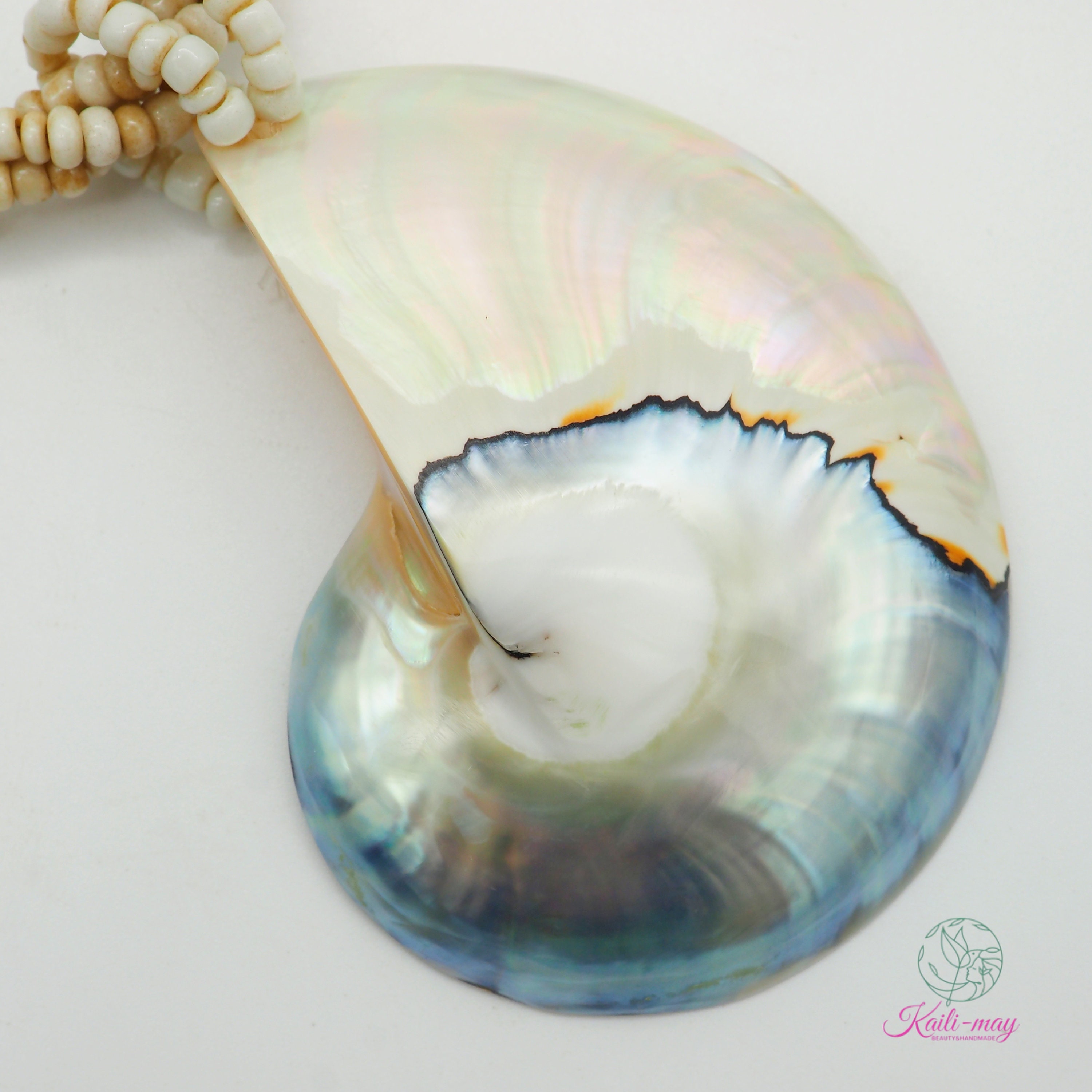 White Pearl Nautilus Shell Handmade Pendant in Half Cut Nautilus - Etsy