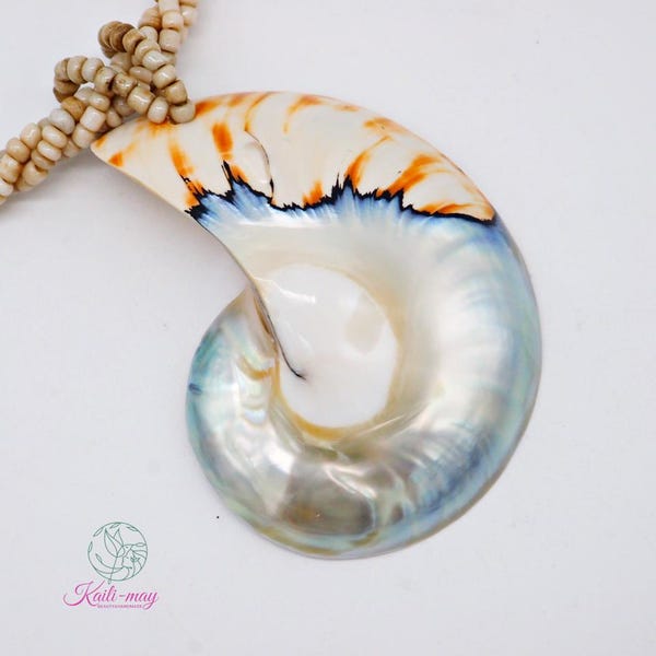Cut Shell Necklace - Etsy