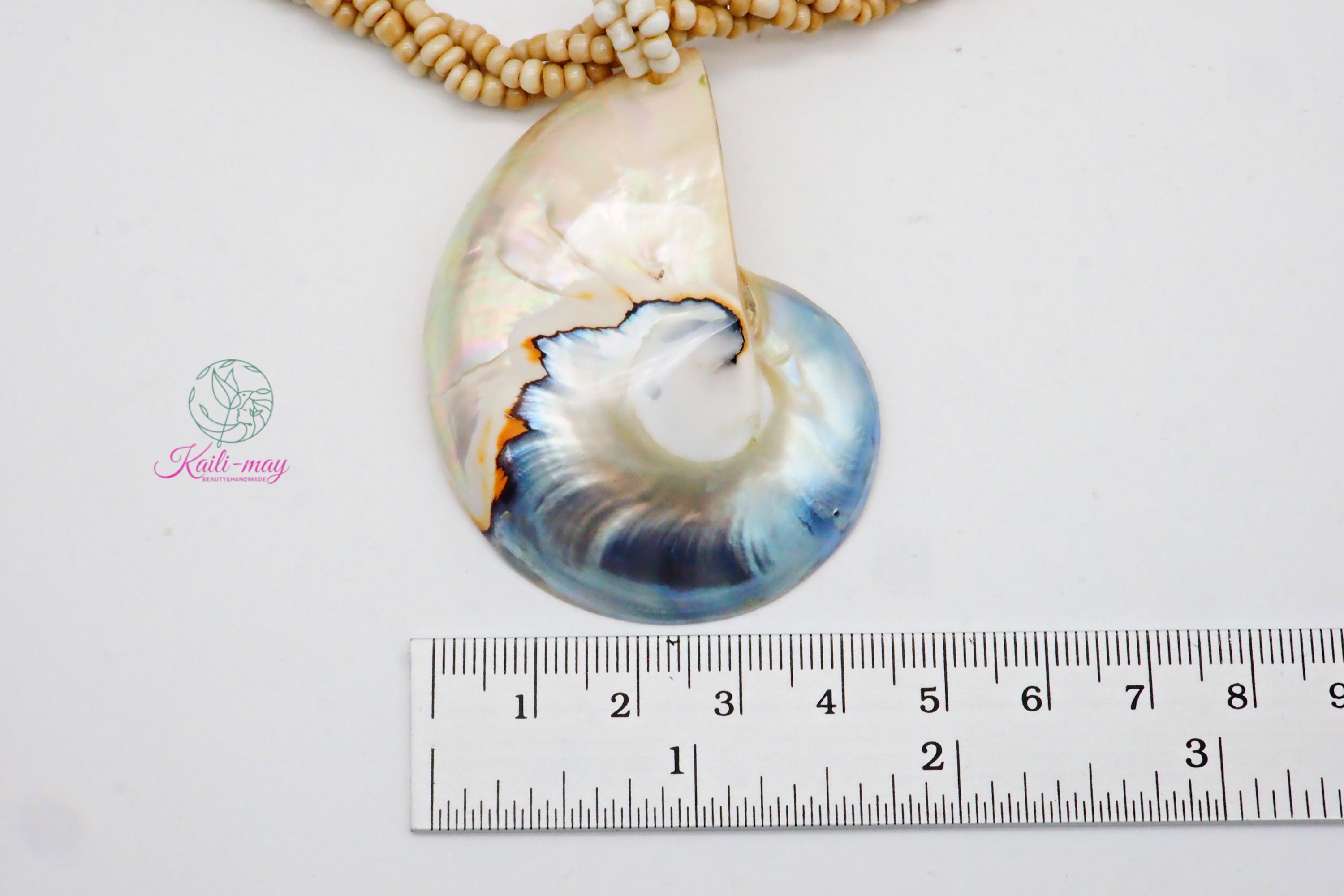 White Pearl Nautilus Shell Pendant Necklace - Etsy