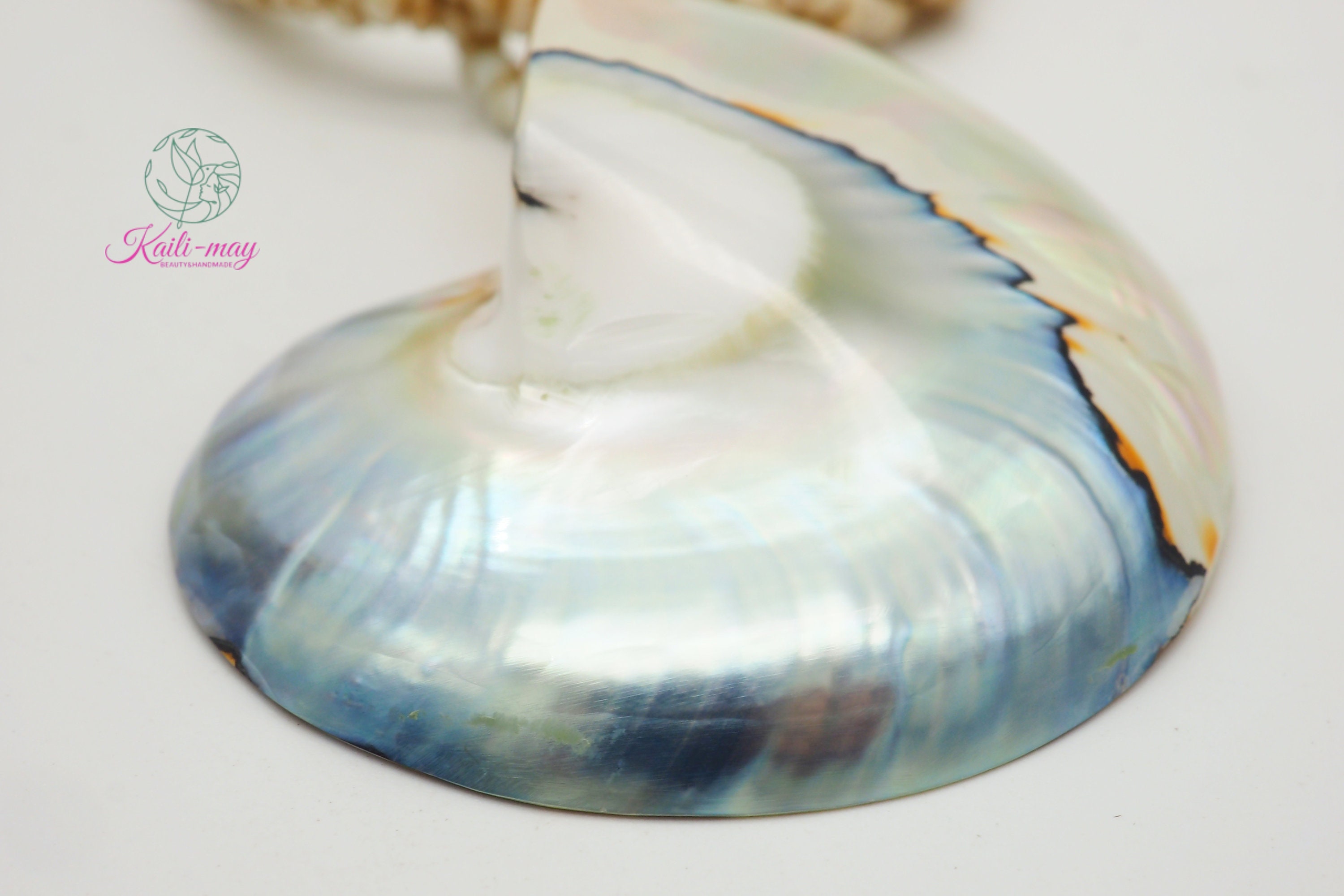 White Pearl Nautilus Shell Handmade Pendant in Half Cut Nautilus - Etsy