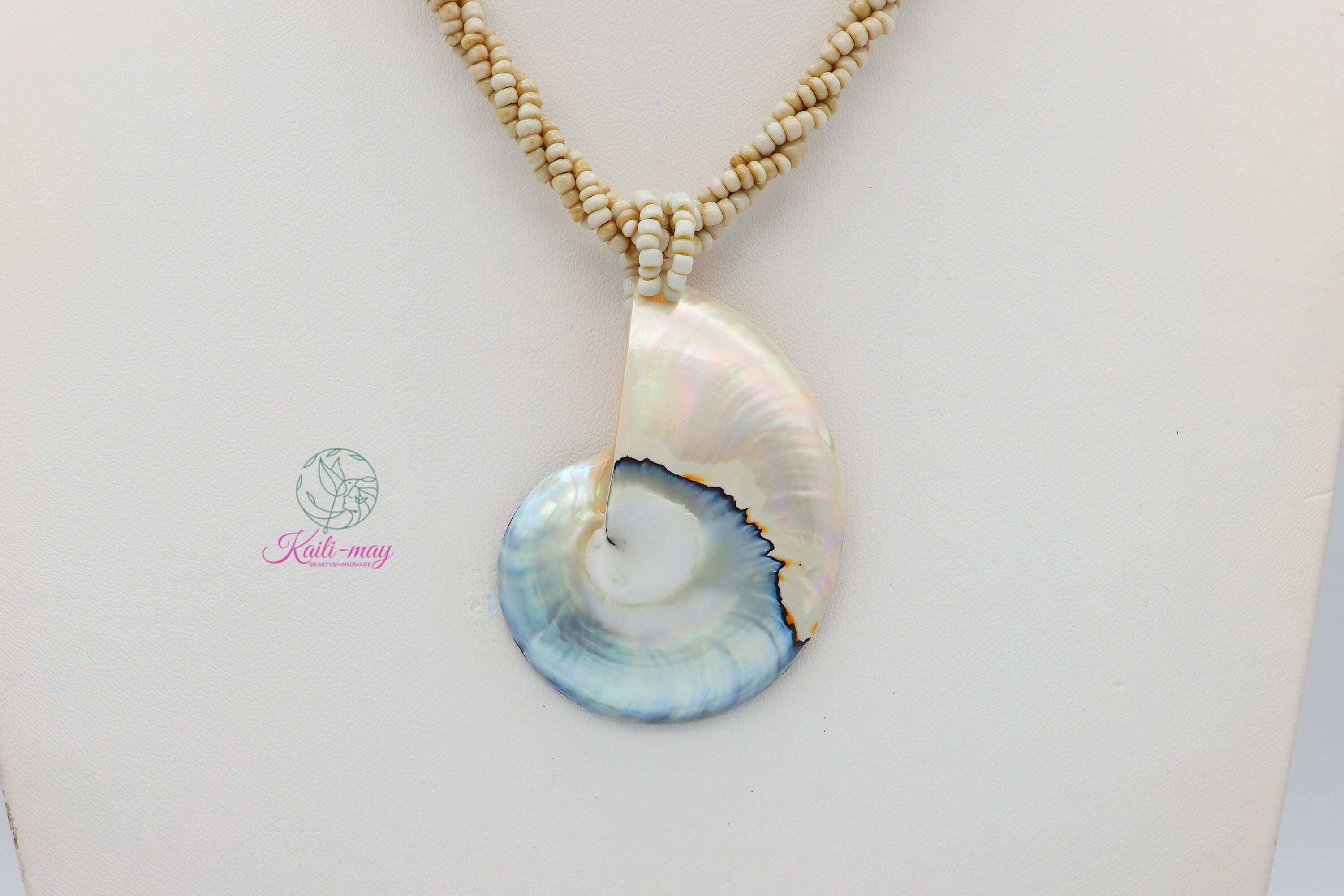 White Pearl Nautilus Shell Handmade Pendant in Half Cut Nautilus - Etsy