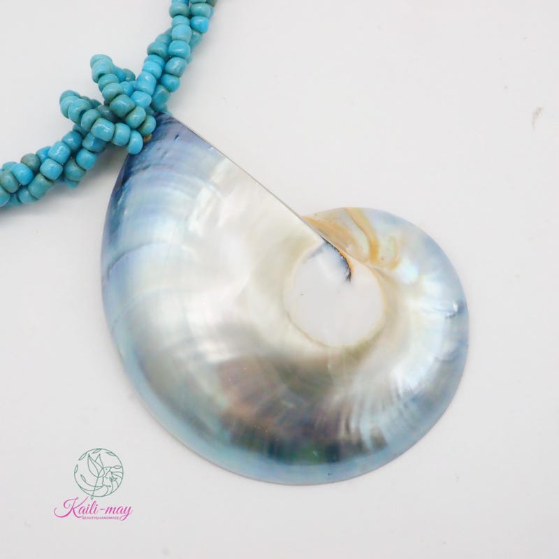 Cut Shell Necklace - Etsy