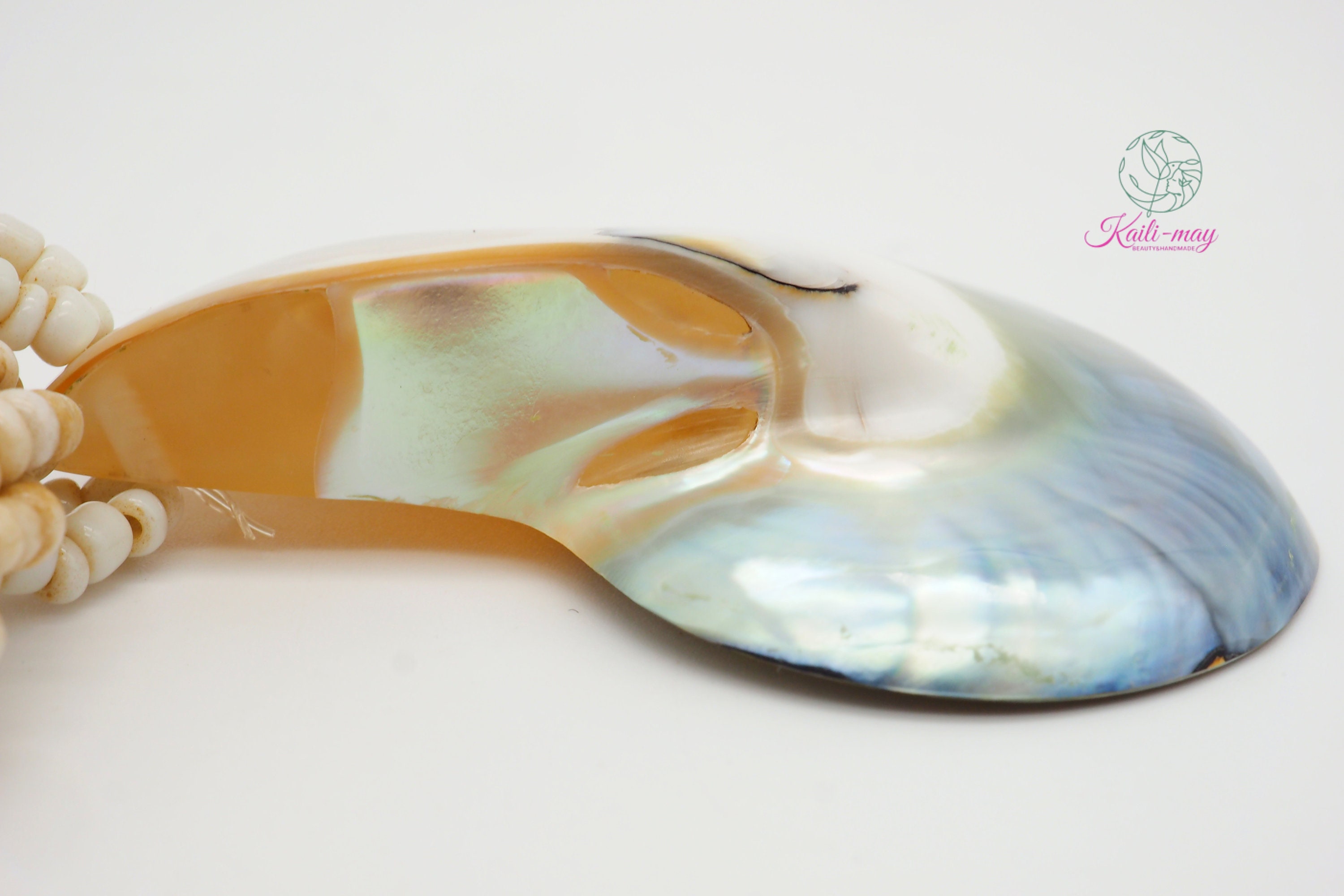 White Pearl Nautilus Shell Handmade Pendant in Half Cut Nautilus - Etsy