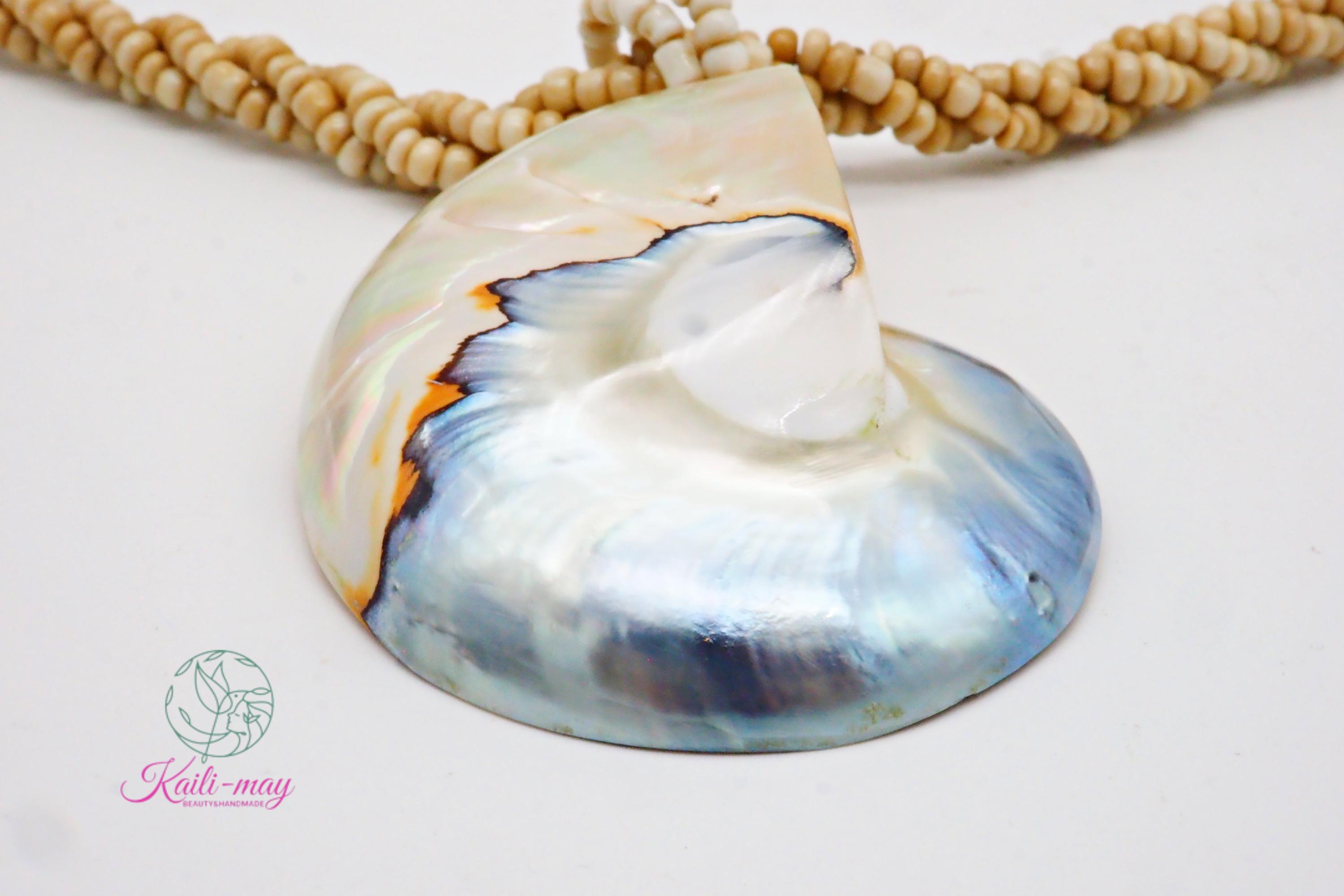White Pearl Nautilus Shell Pendant Necklace - Etsy