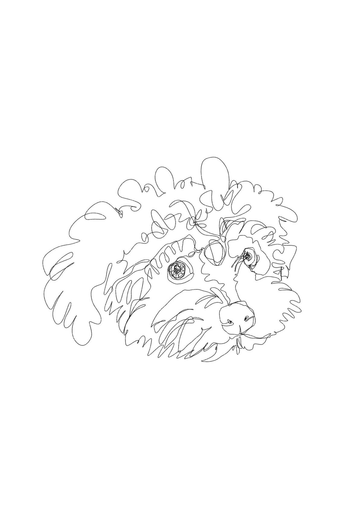 Line Drawing Portrait - Etsy