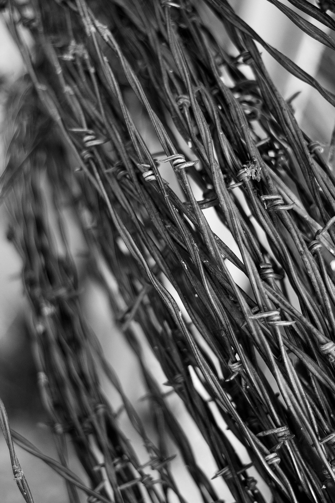 Barbed Wire - Farmhouse Decor - Western Decor - Etsy