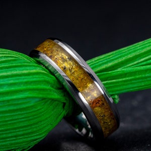 Amber Stainless Steel Ring - Etsy