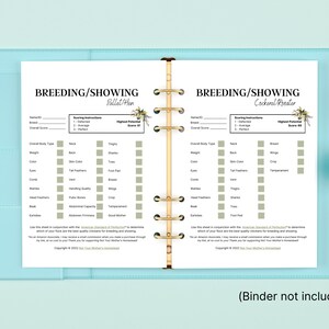 Chicken Breeding and Showing Personal Score Sheets | Chicken Assessment ...