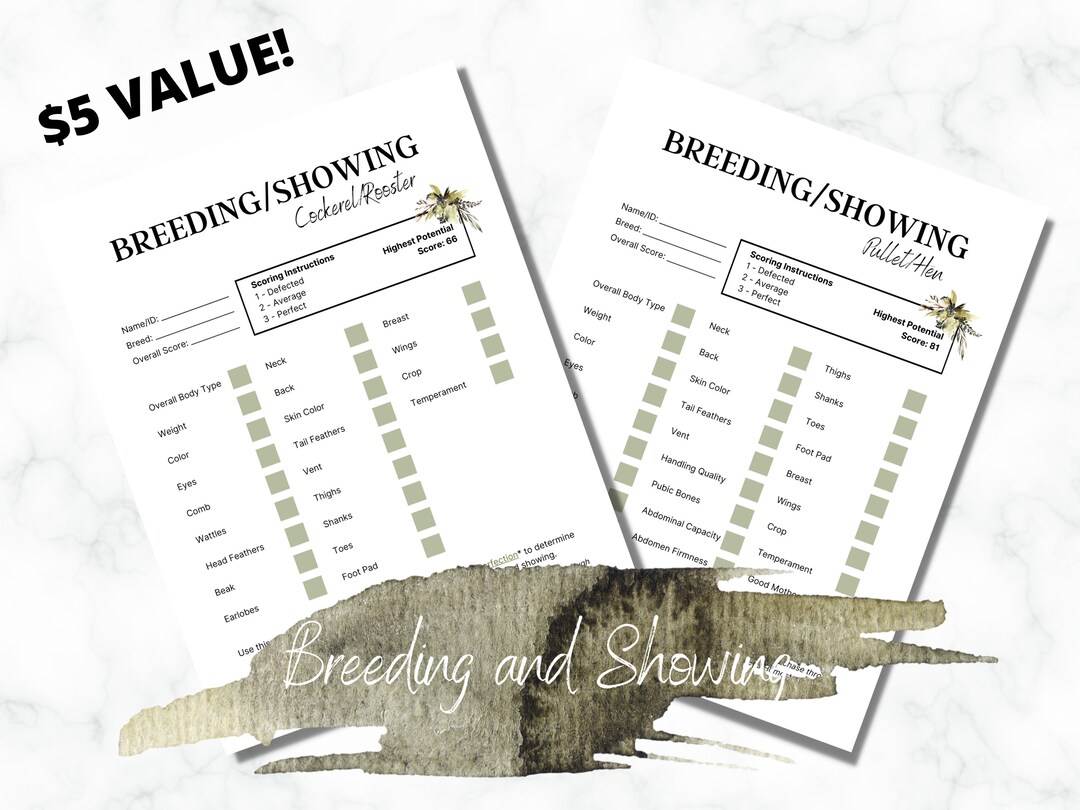 Chicken Breeding and Showing Personal Score Sheets | Chicken Assessment ...