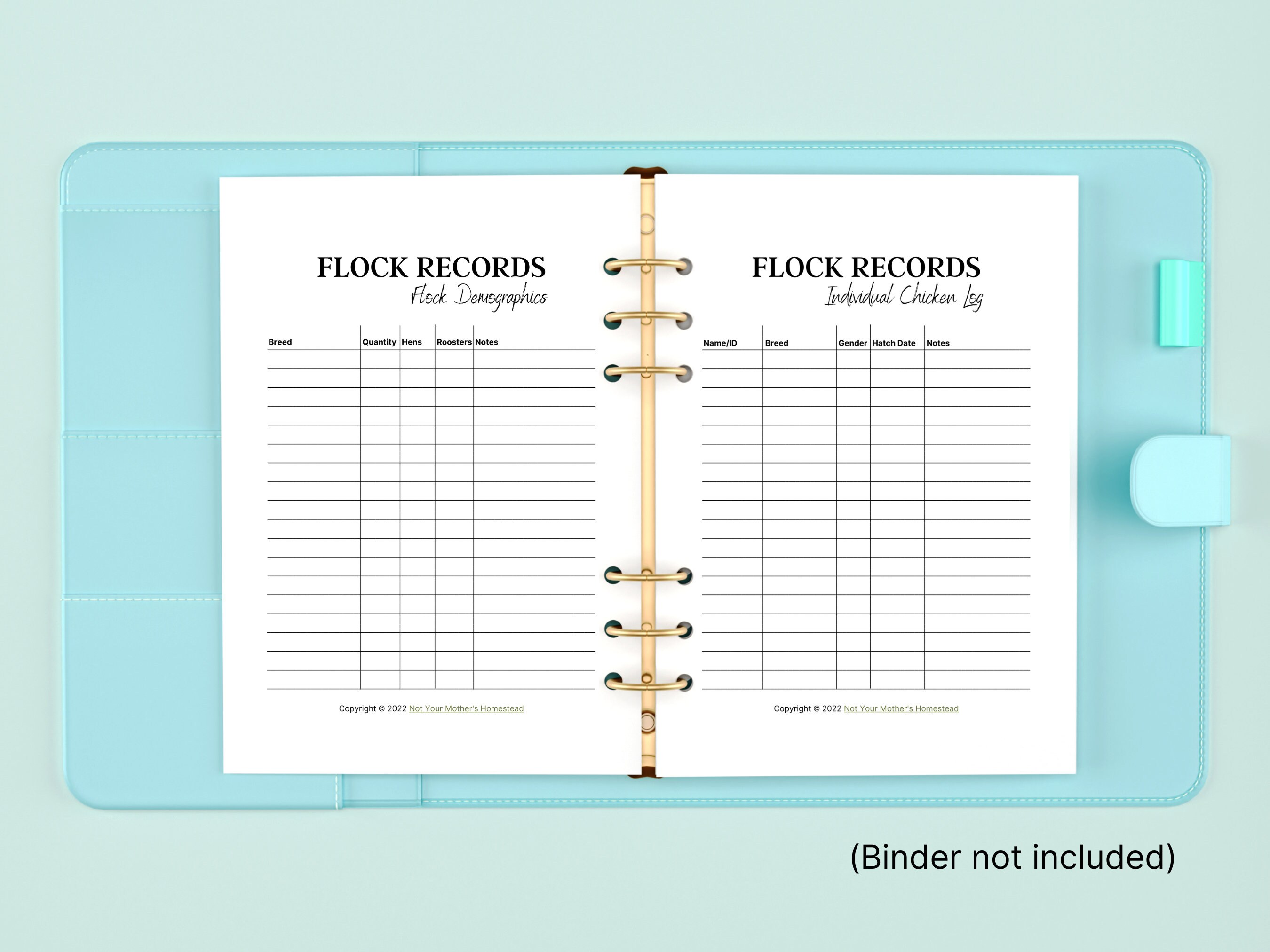 Printer Friendly Chicken Flock Records | Flock Information | Poultry ...