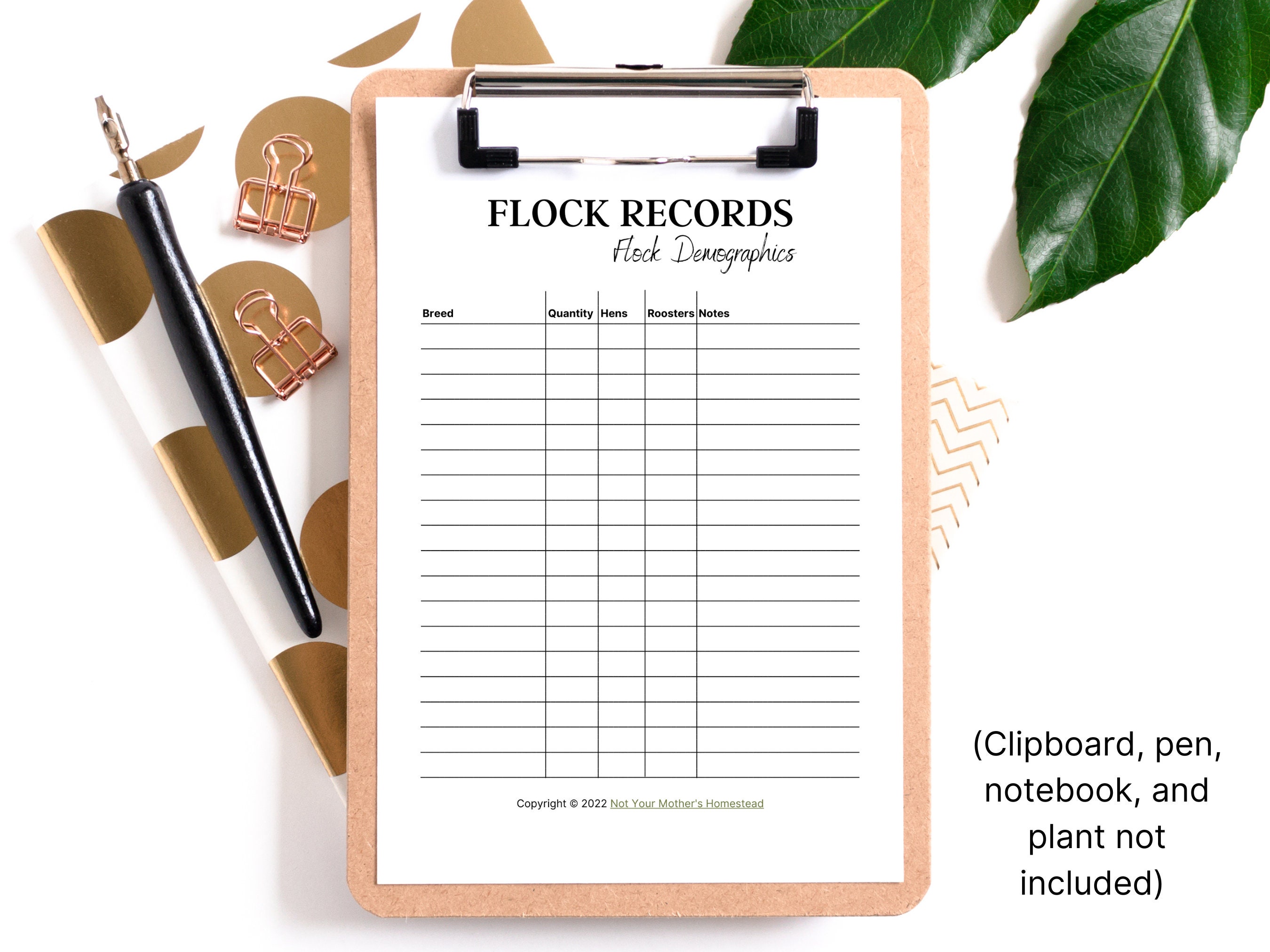 Printer Friendly Chicken Flock Records | Flock Information | Poultry ...