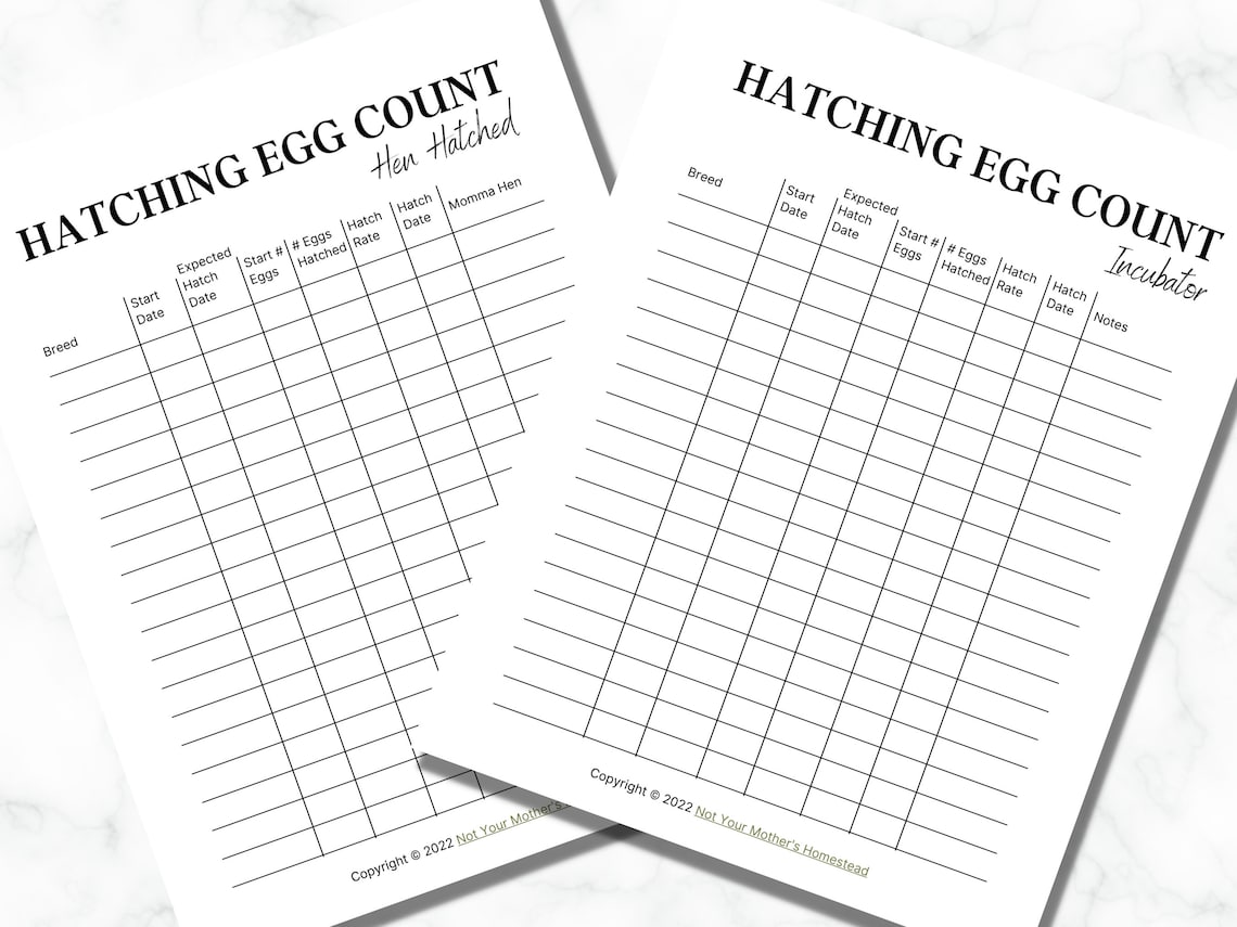Printer Friendly Egg Production Tracker | Printable Backyard Chickens ...
