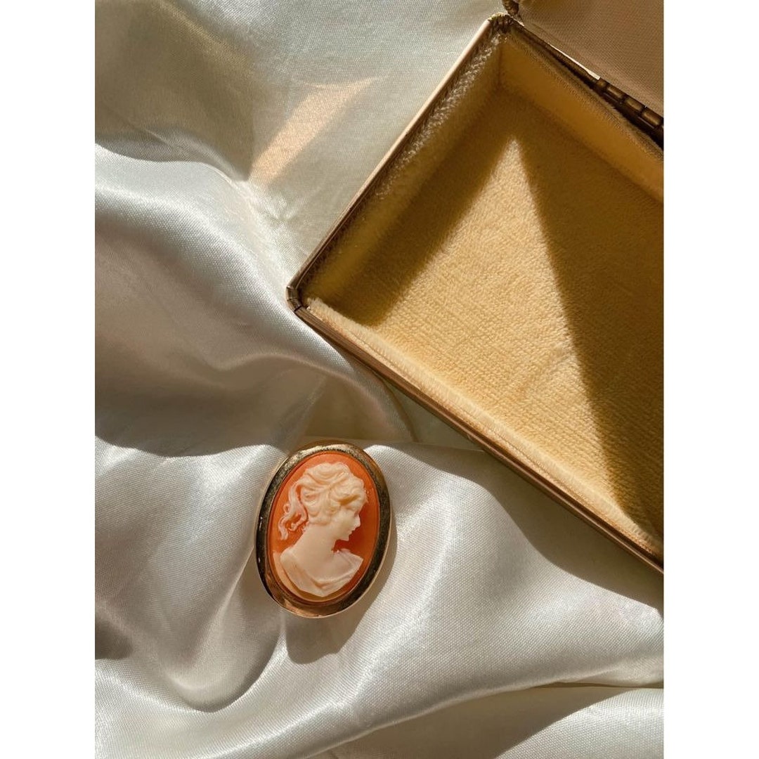 Vintage Plastic Cameo 1970s Brooch Pin Peach Tones Faux Stone Cameo - Etsy